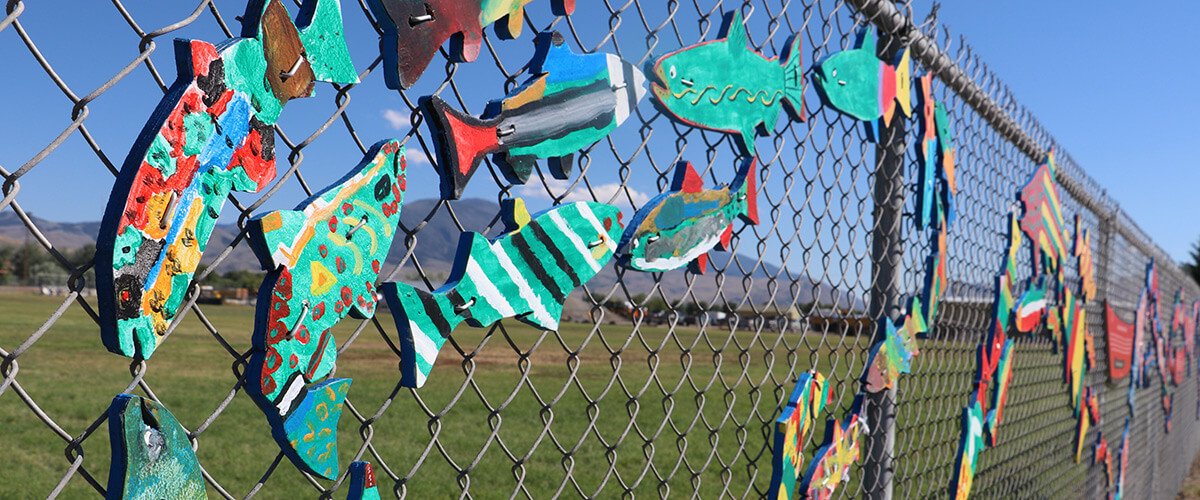 Salmon Fish Fence Idaho – Visit Salmon Valley, Idaho